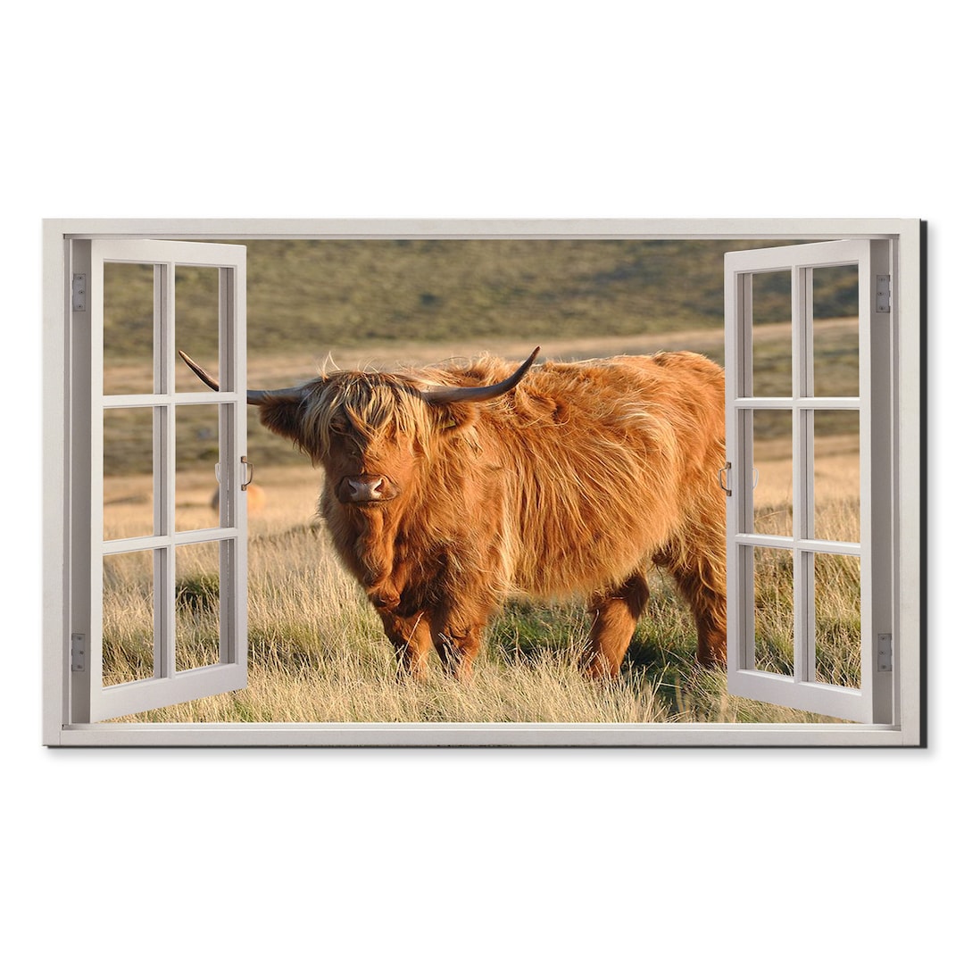 Scottish Highland Cow Cattle Window View, Window Frame Style Modern ...