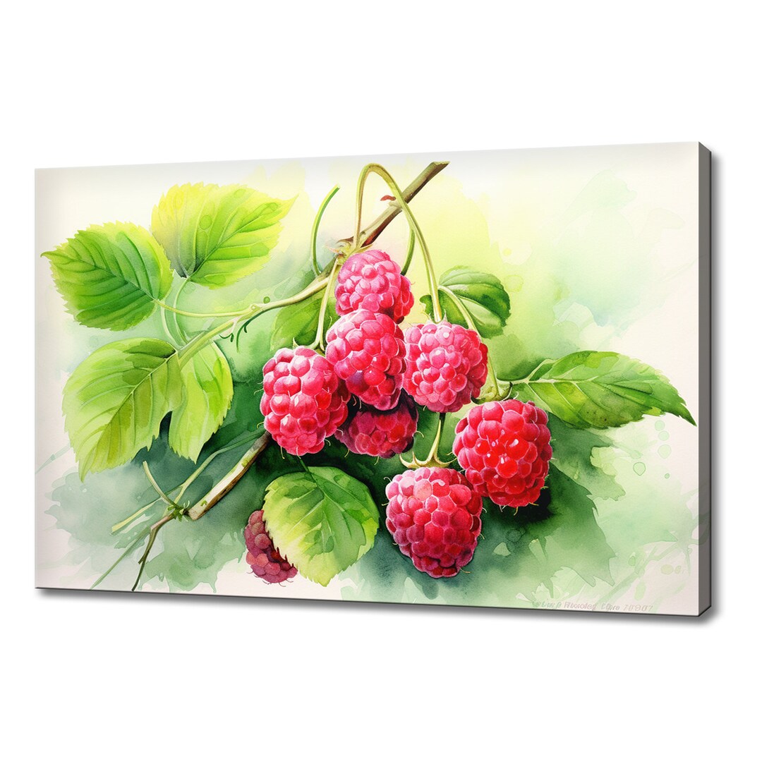 Red Raspberries Fruits Watercolour Canvas Print, Colourful Kitchen Wall ...