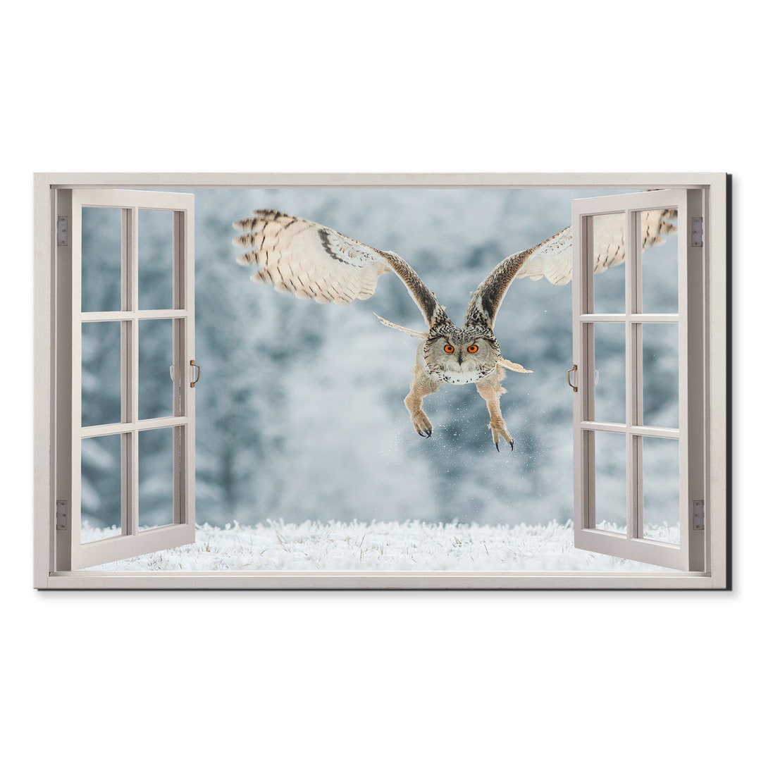 Siberian Eagle Owl Bird in Winter Window View, Window Frame Style ...