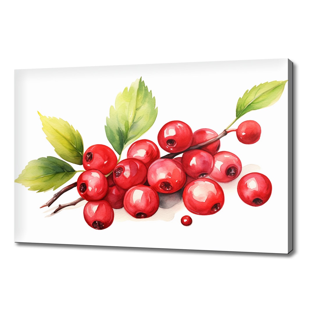 Red Cranberries Fruits Branch Watercolour Canvas Print, Colourful ...