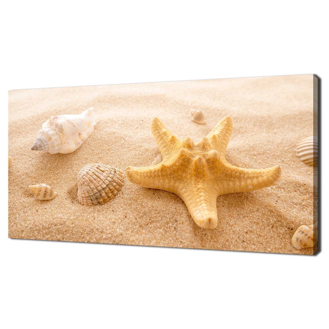 Starfish Sea Shells on Sandy Beach Modern Design Home Decor Canvas ...