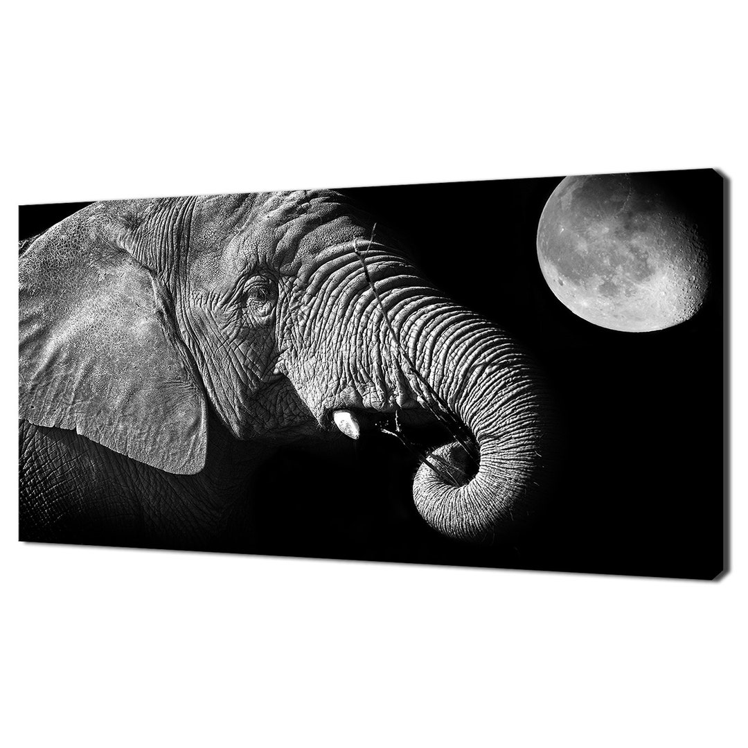 African Elephant at Moonlight Animal Modern Design Home Decor Canvas ...