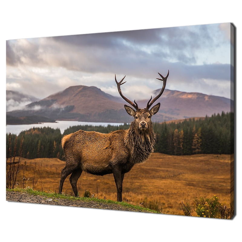 Deer Canvas Art - Etsy
