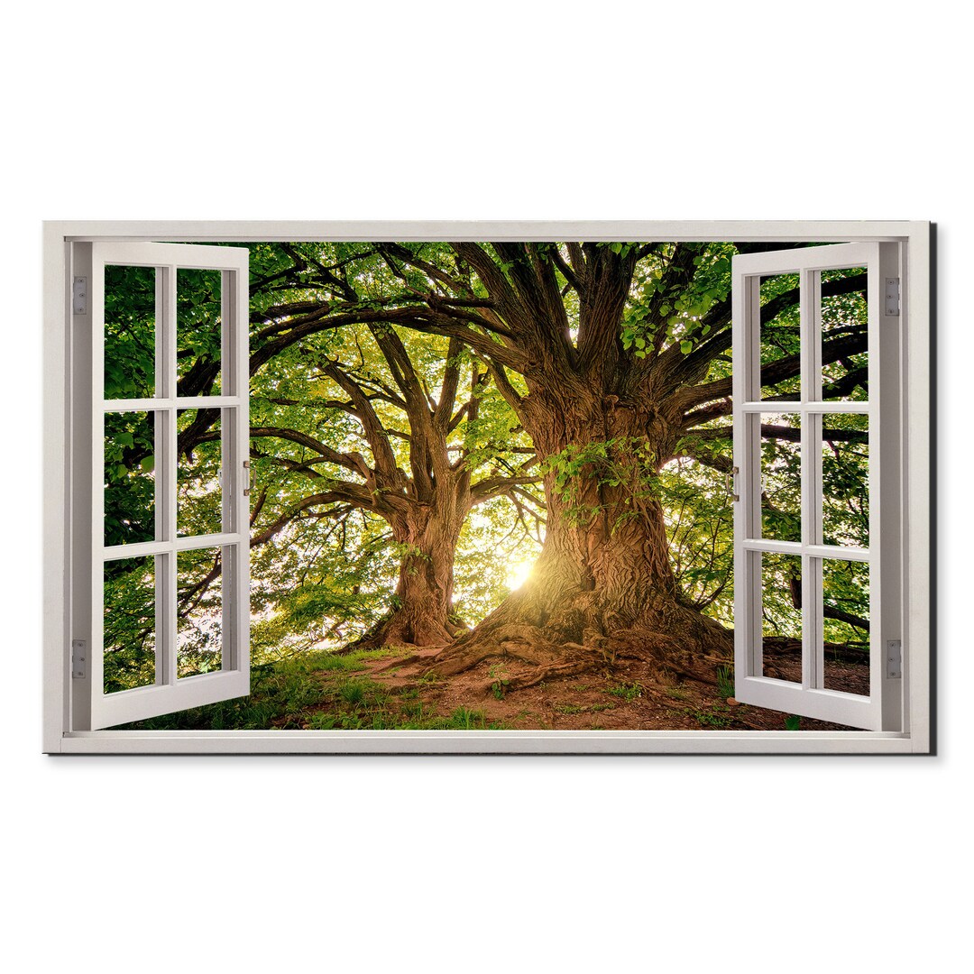 Sun Shining Through Green Trees Window View, Window Frame Style Modern ...
