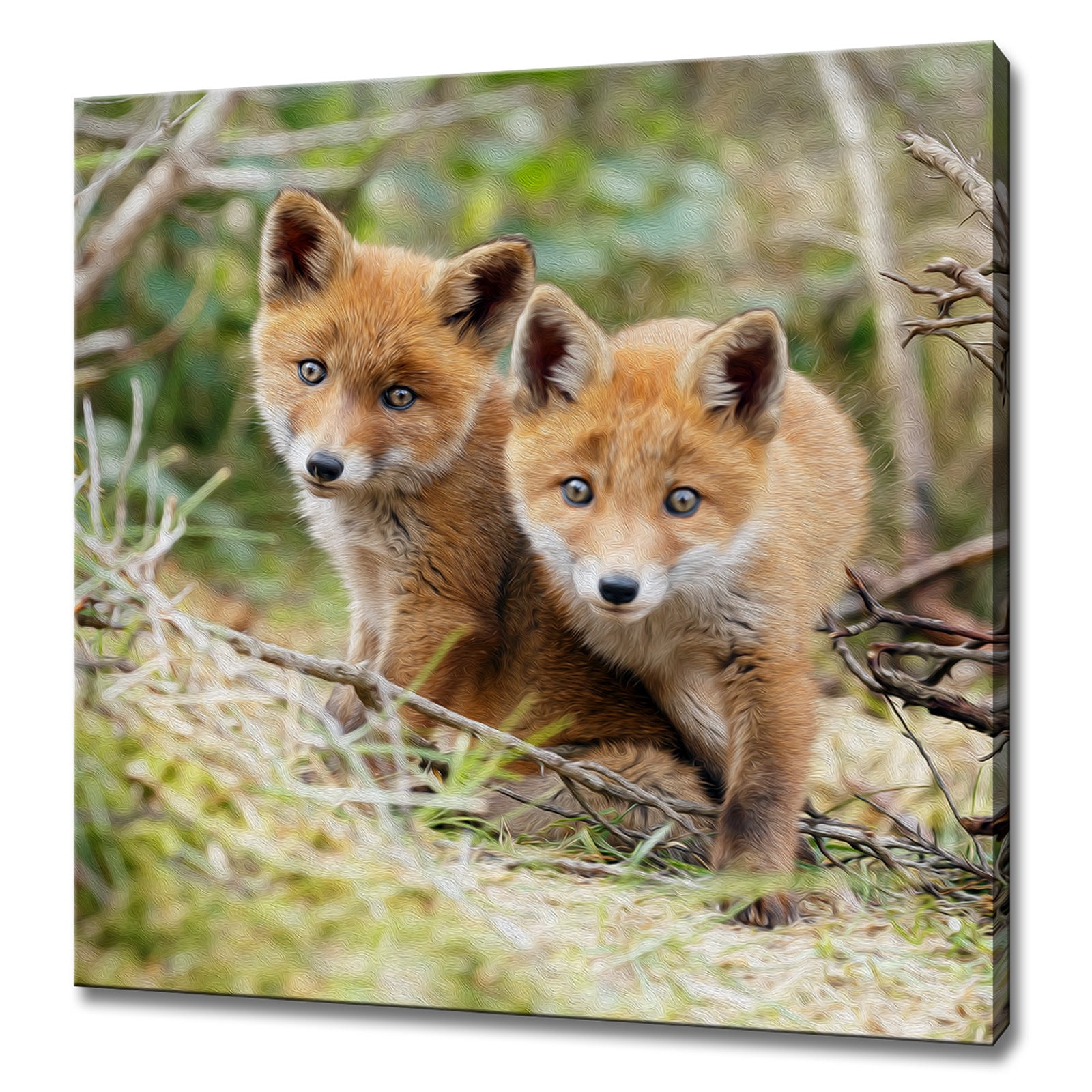 Cute Red Fox Cubs