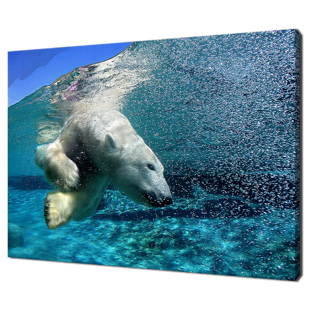 Polar Bear Diving in the Blue Sea Waters Animal Modern Design Home ...
