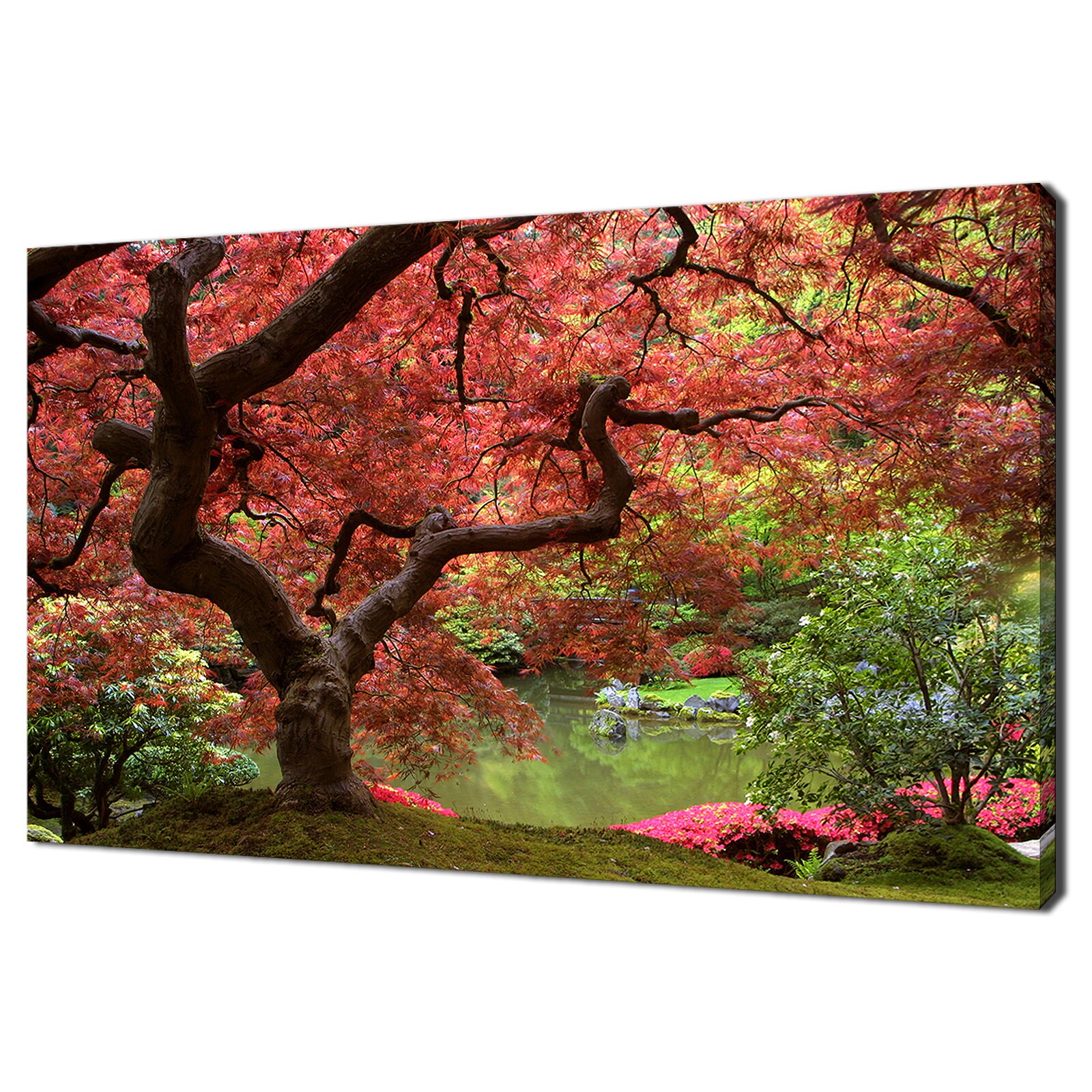 Beautiful Japanese Garden Maple Tree Modern Design Home Decor - Etsy UK