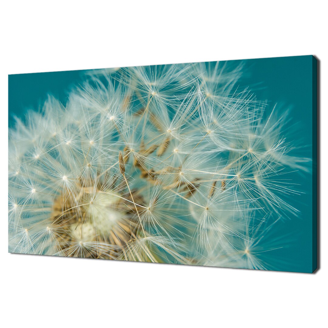 Teal Blue Dandelion Flower Seeds Modern Design Decor Canvas Print Wall ...