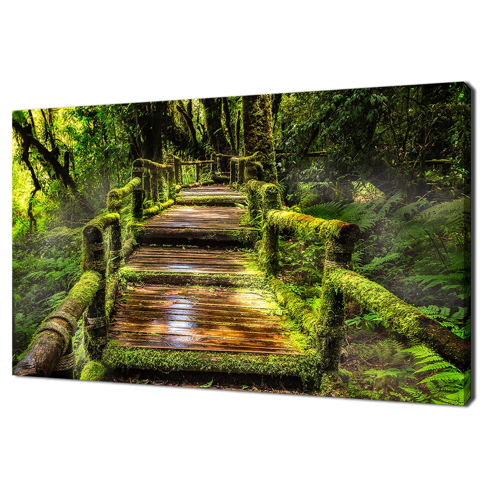 Wooden Path in Beautiful Green Rain Forest Thailand Modern - Etsy
