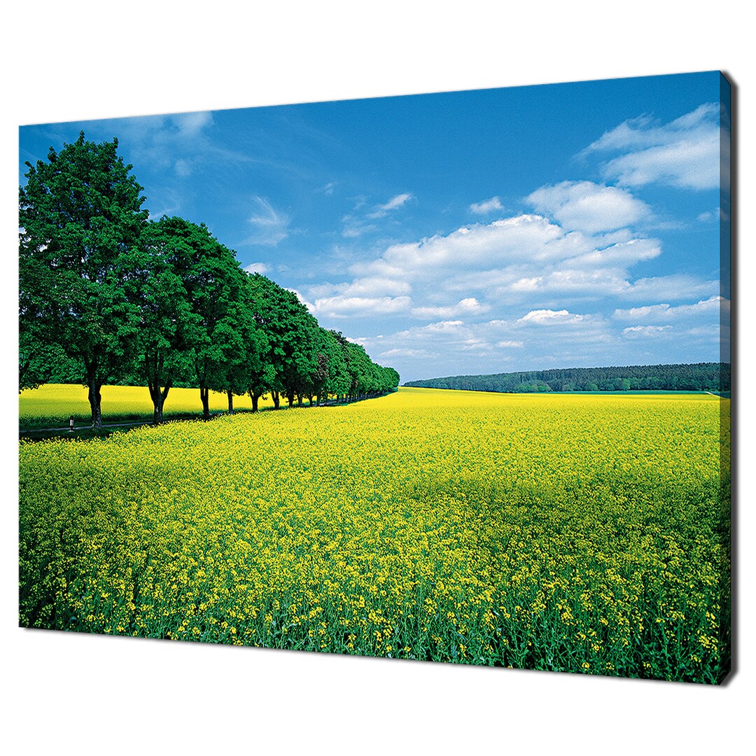 Spring Fields Trees Allee in Summer Green Blue Modern Design Home Decor ...