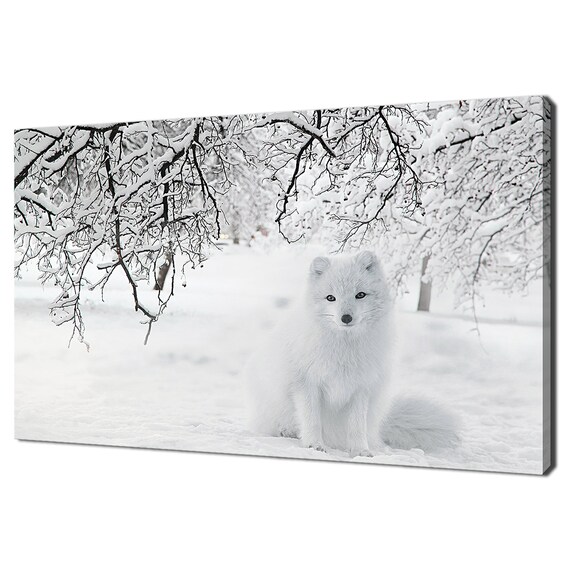 Beautiful White Arctic Fox Cub Sitting in the Snow Modern | Etsy