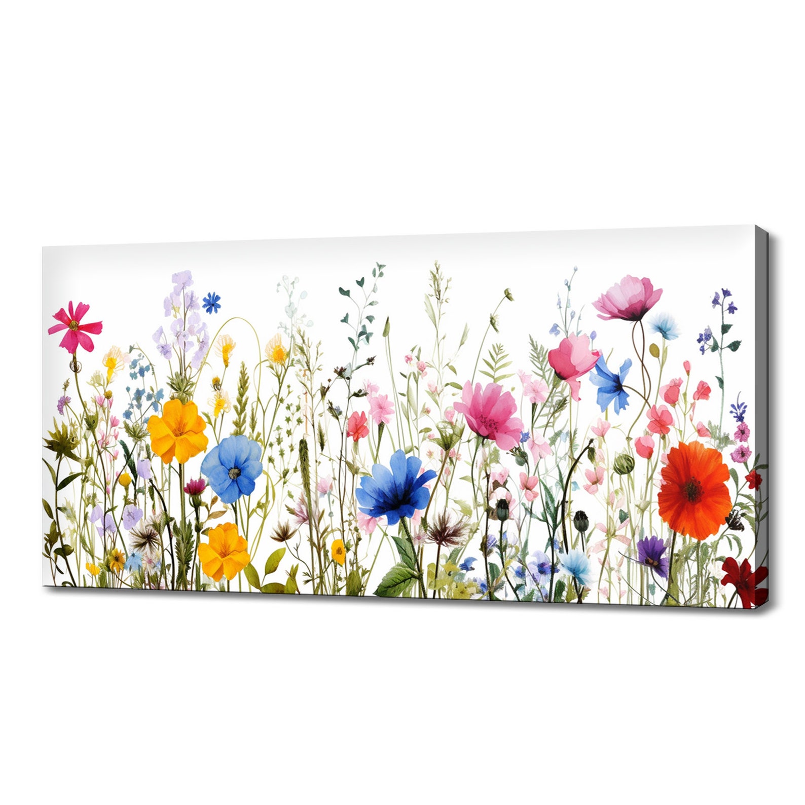 Beautiful Bright Spring Wildflowers Field Meadow, Colourful Watercolour ...