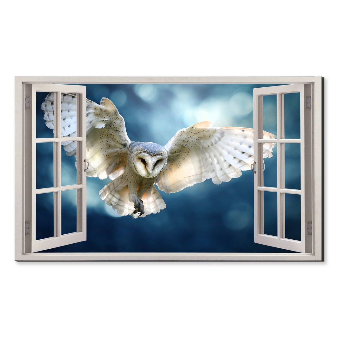Hunting Barn Owl Bird Window View, Window Frame Style Modern Design ...