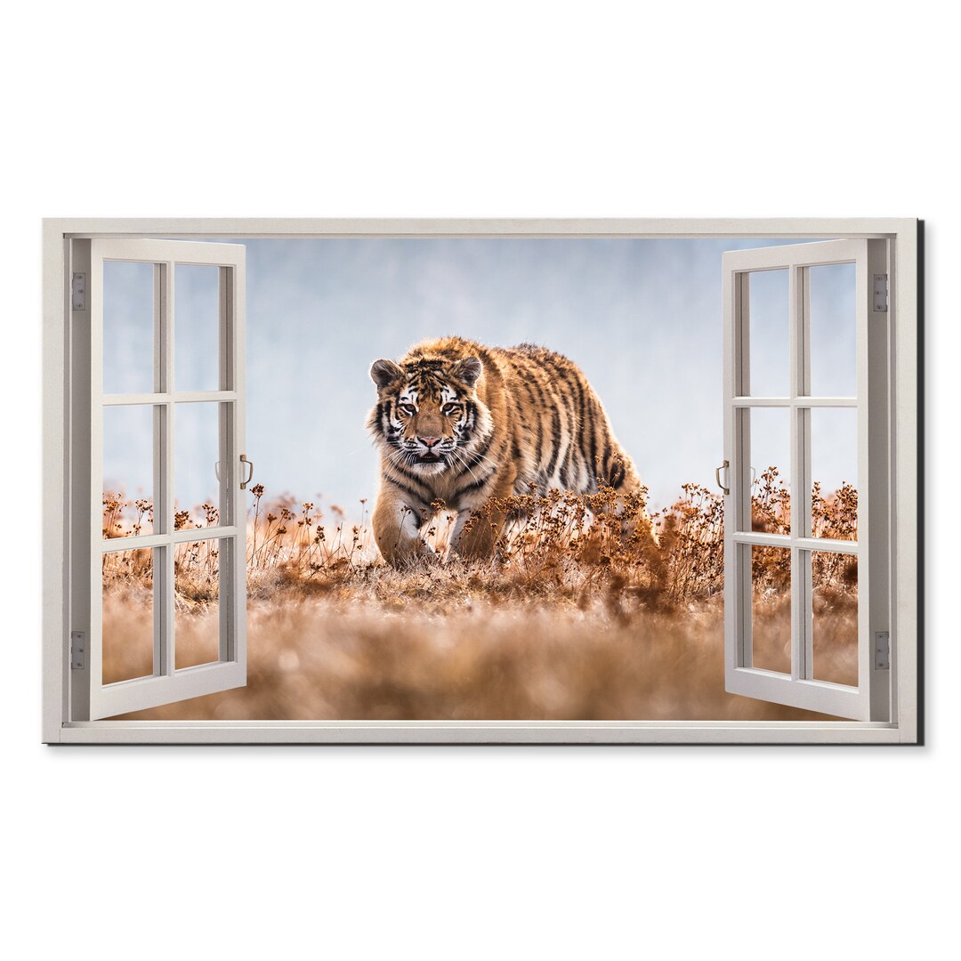 Siberian Tiger Running Window View, Window Frame Style Modern Design ...