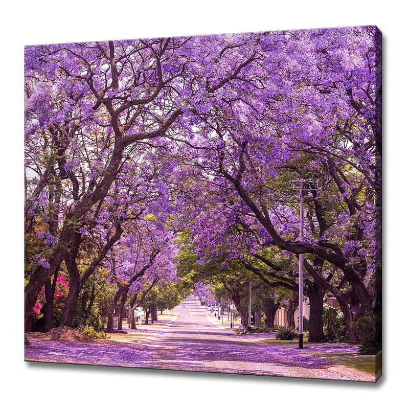 Jacaranda Wood - Etsy