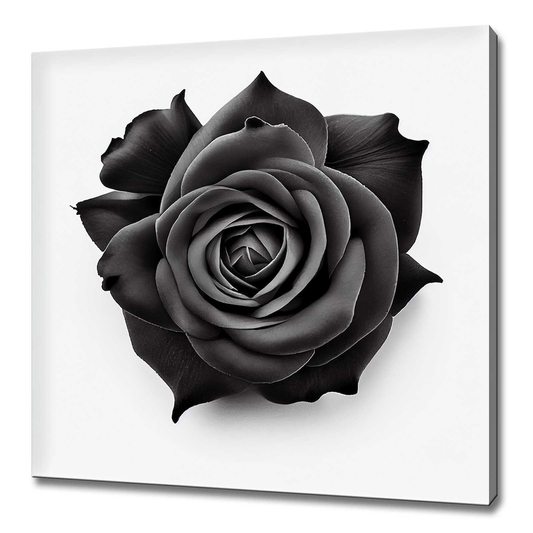 Beautiful Black Rose Flower Modern Floral Design Home Decor Canvas ...