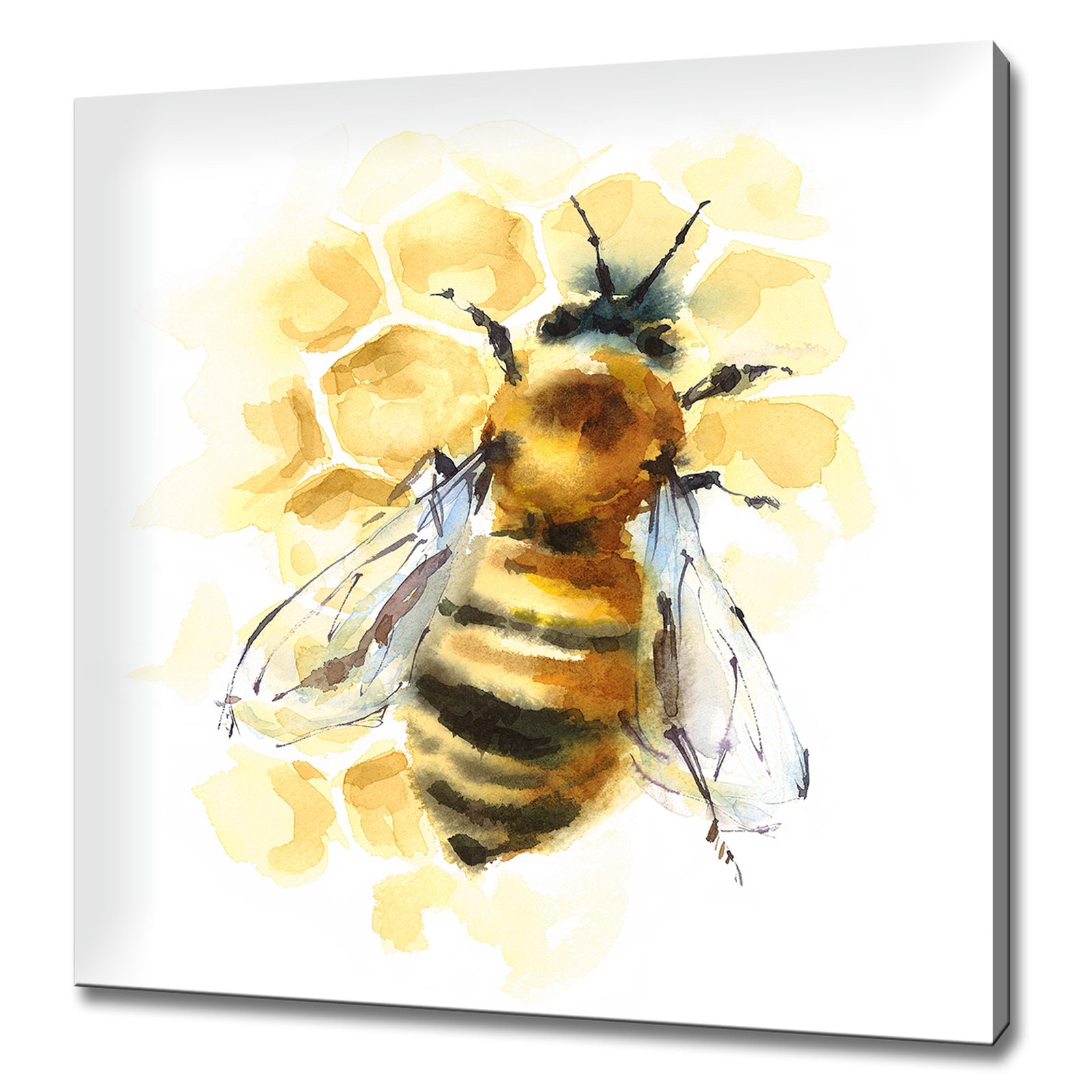 Watercolour Painting of Honey Bee on Honey Comb Modern Design | Etsy