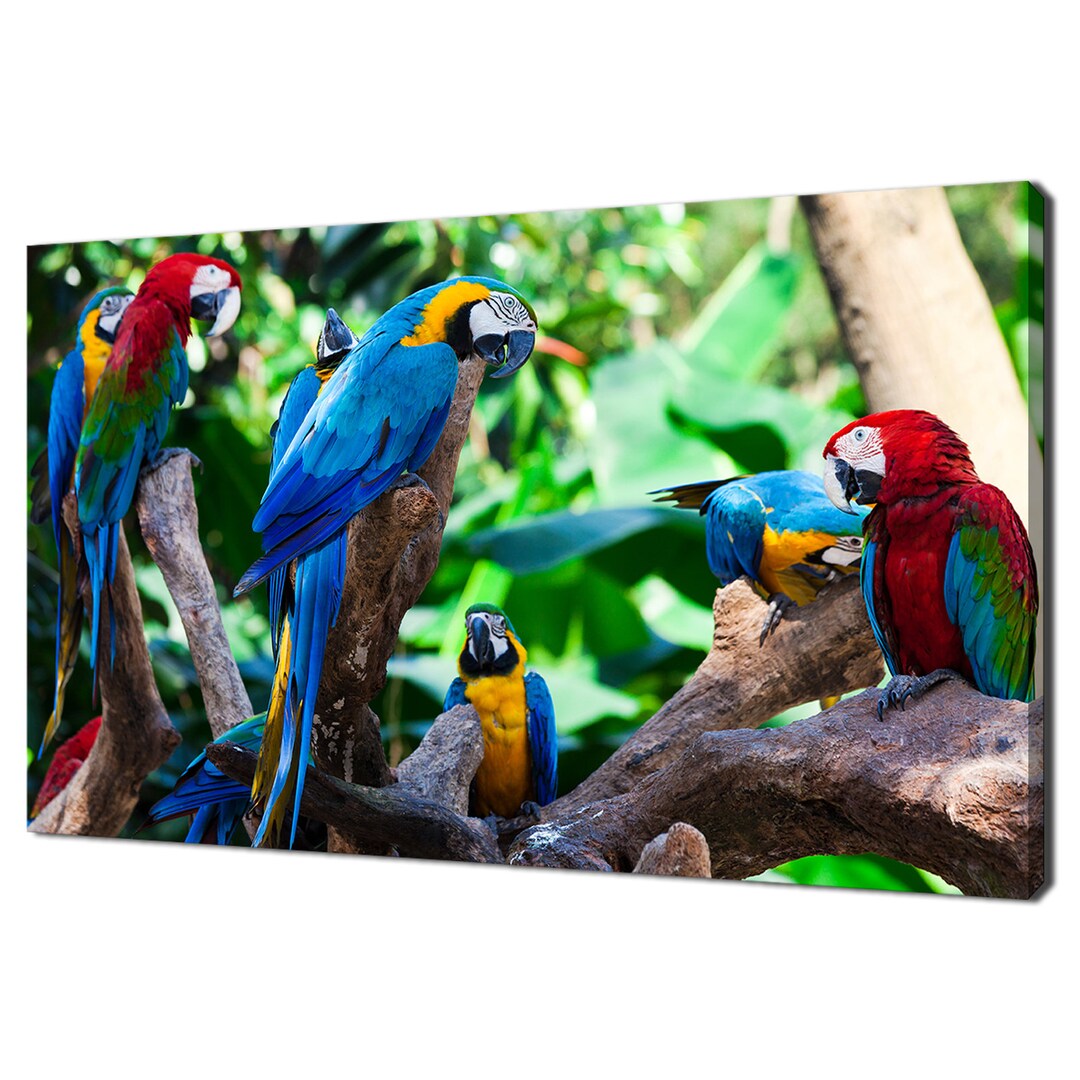 Rainbow Colorful Parrots Birds in A Tree Modern Design Home Decor ...