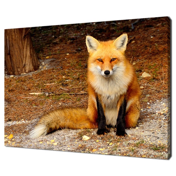 Fox Wall Art - Etsy