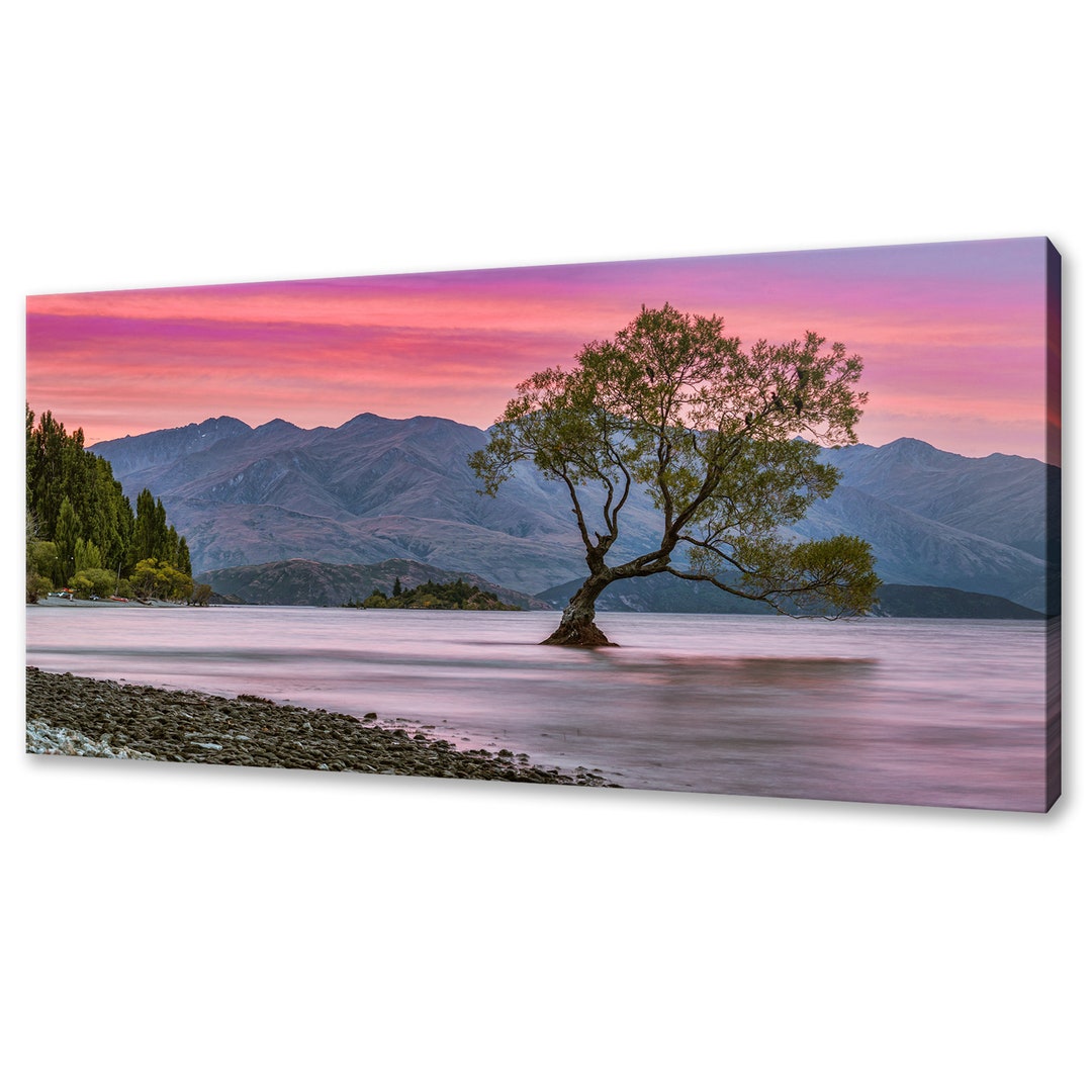 Stunning Sunset Over Lone Tree of Lake Wanaka NZ Modern Design Home ...