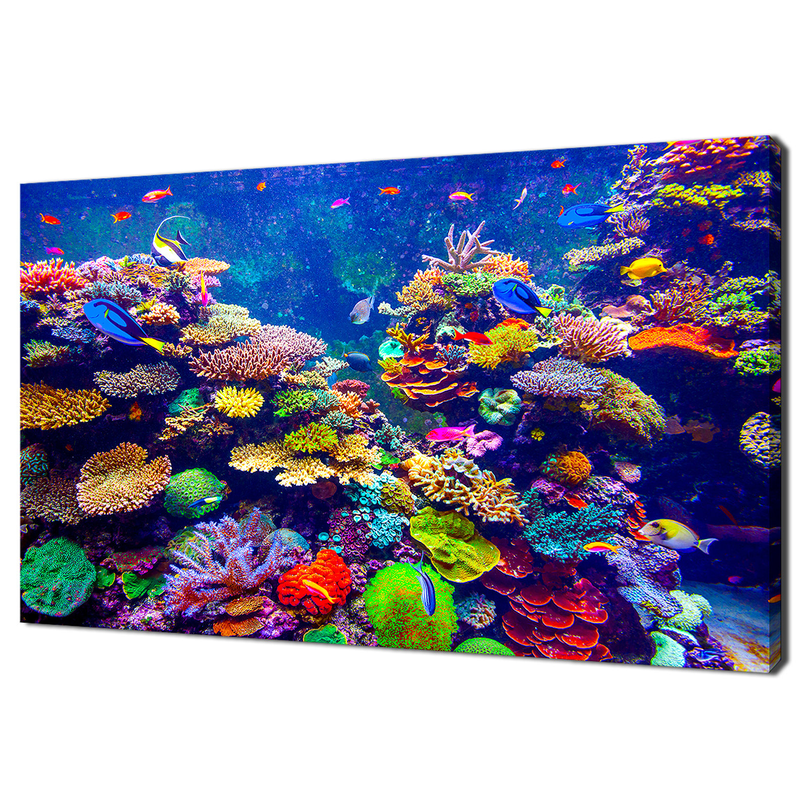 Coral Reef and Tropical Fish Colourful Sea Modern Design Home - Etsy