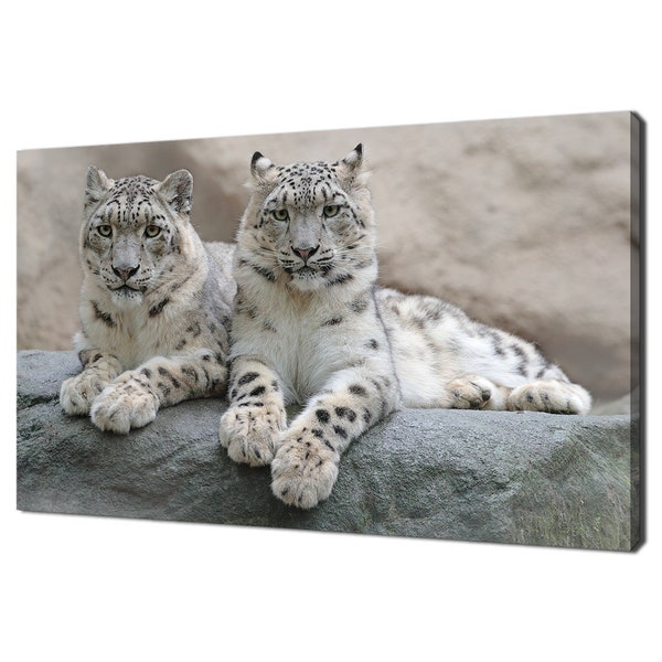 Snow Leopard - Etsy UK