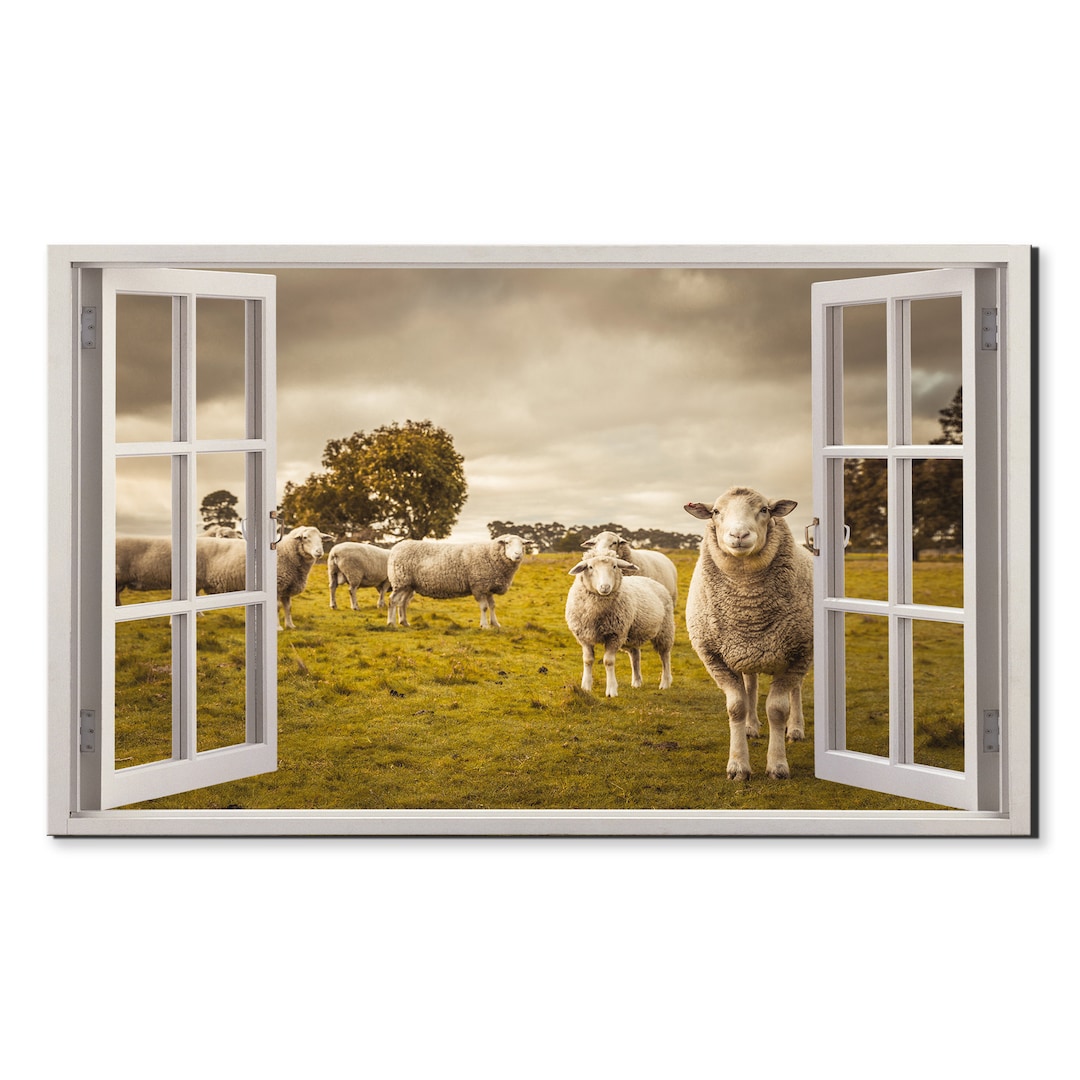 Group of Sheep at Farm Window View, Window Frame Style Modern Design ...