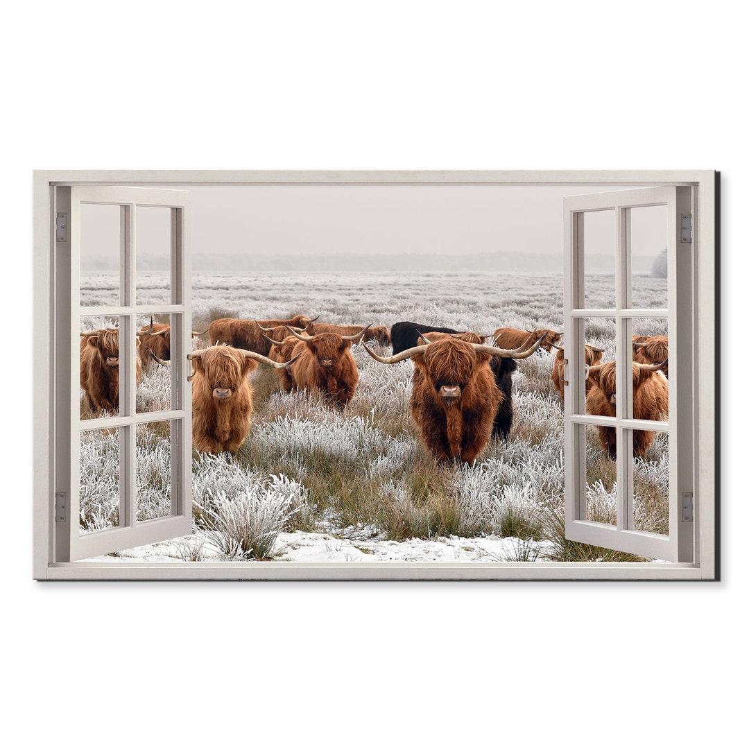 Herd of Scottish Highland Cows Window View, Window Frame Style Modern ...