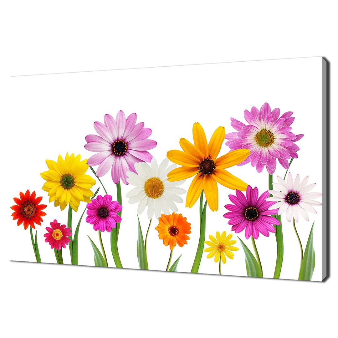 Beautiful Colourful Summer Daisy Flowers Daisies Gerbera Modern Floral ...
