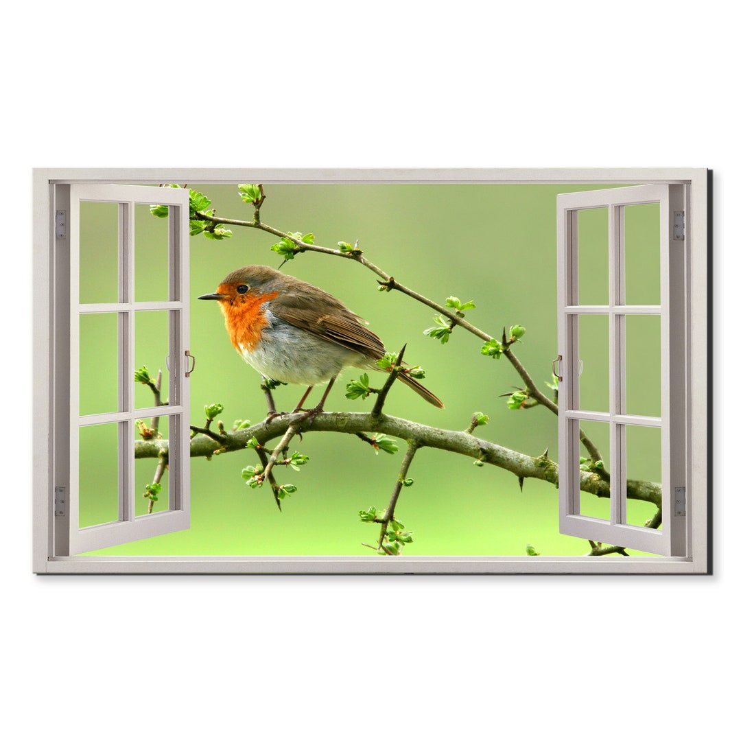 Beautiful Robin Bird Window View, Window Frame Style Modern Design Home ...