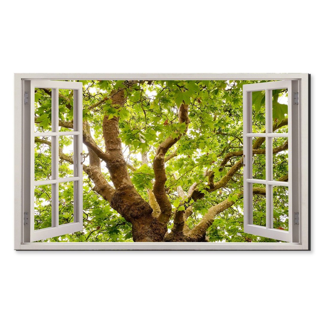 Oak Oak Tree Brunches Window View, Window Frame Style Modern Design ...