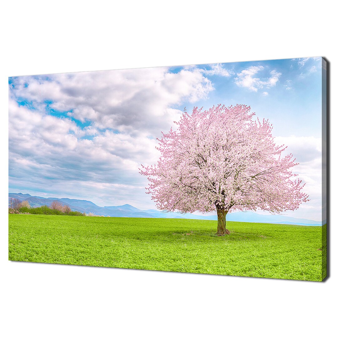Flowering Pink Tree of Japanese Sakura in Spring Modern Design Decor ...
