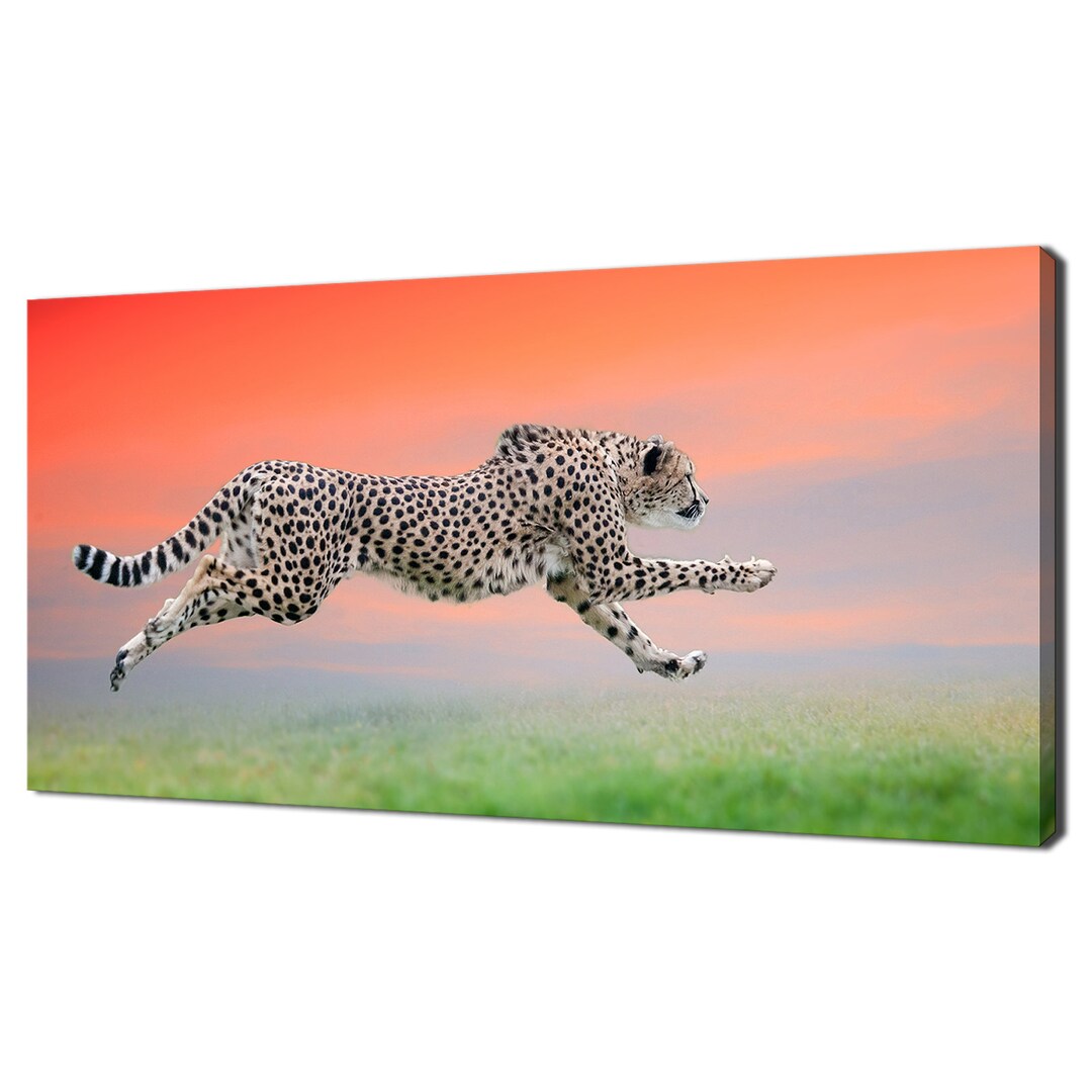 Running Cheetah at Beautiful Sunset Modern Design Home Decor Canvas ...