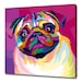 Colourful Collection of Dogs Many Designs Breeds Abstract Modern Home ...