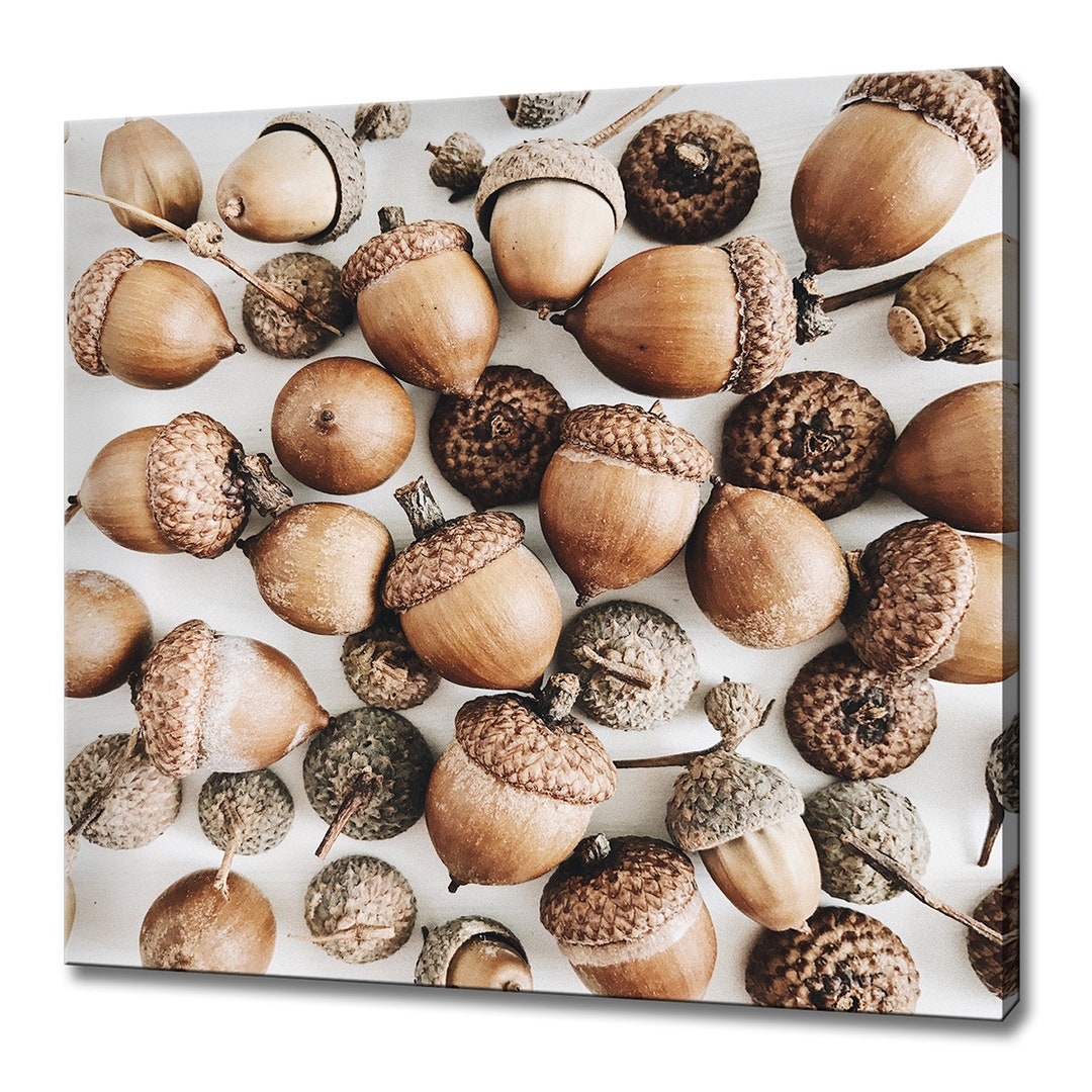 Brown Acorns Collage Autumn Minimal Design Canvas Print Wall Art ...