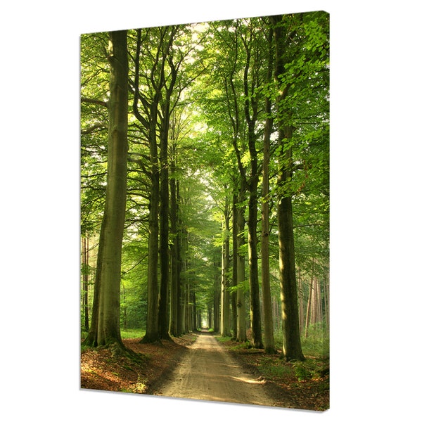 Forest Picture - Etsy