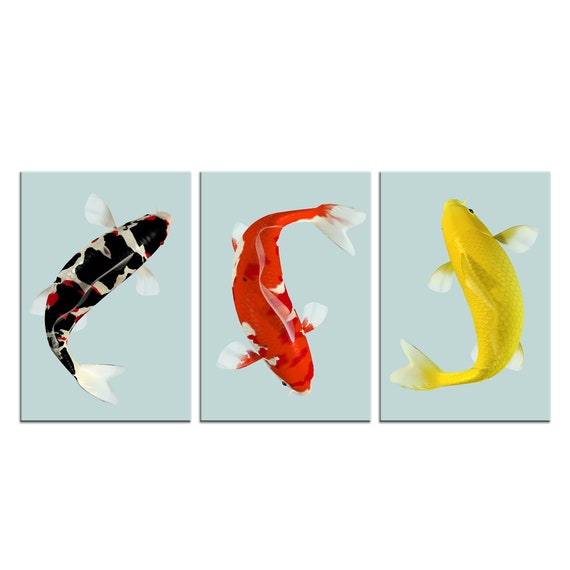 Pez Koi Individual En El Agua Un Pez Koi O Una Embarcación Elegante