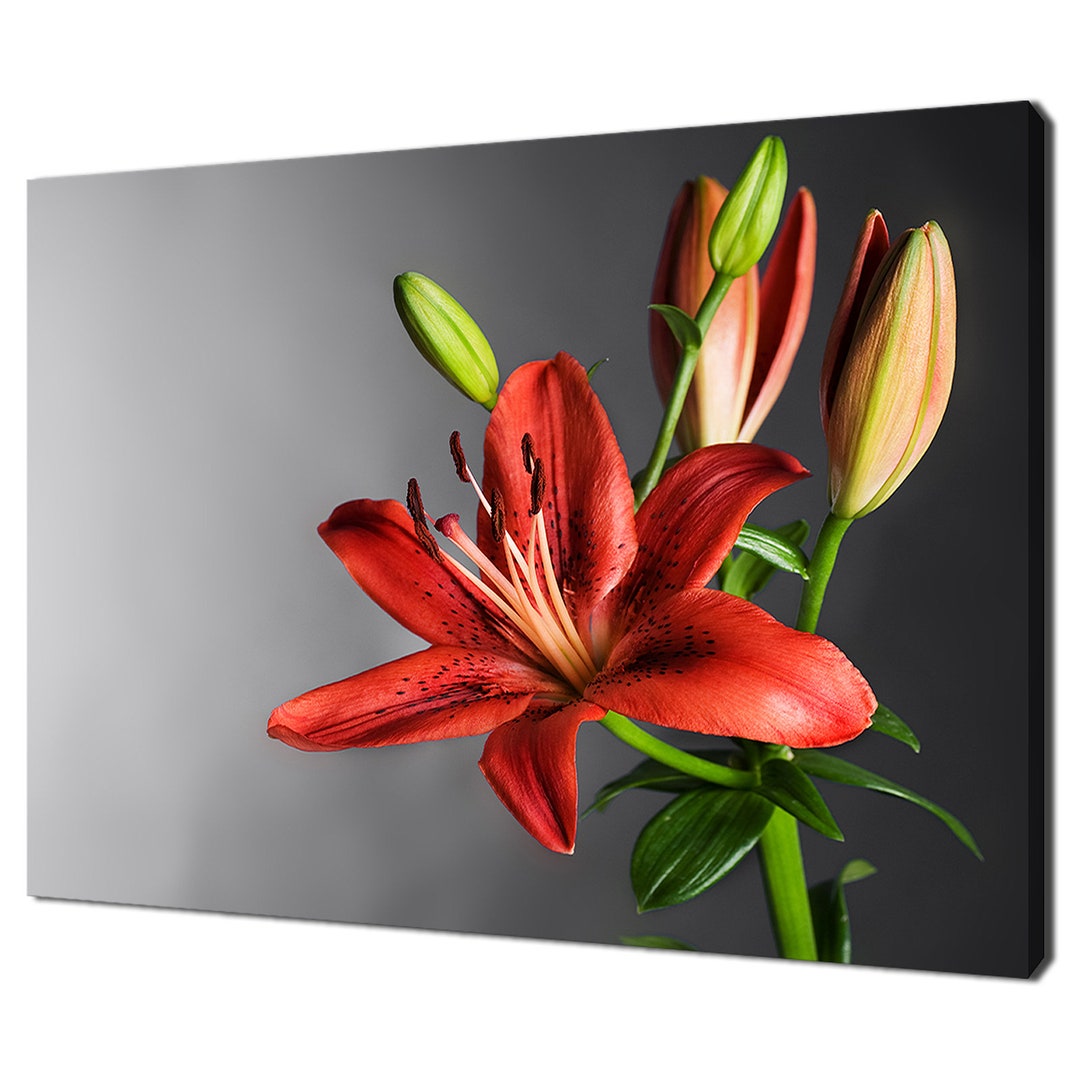 Beautiful Red Lily Flower Stem Modern Design Home Decor Canvas Print ...
