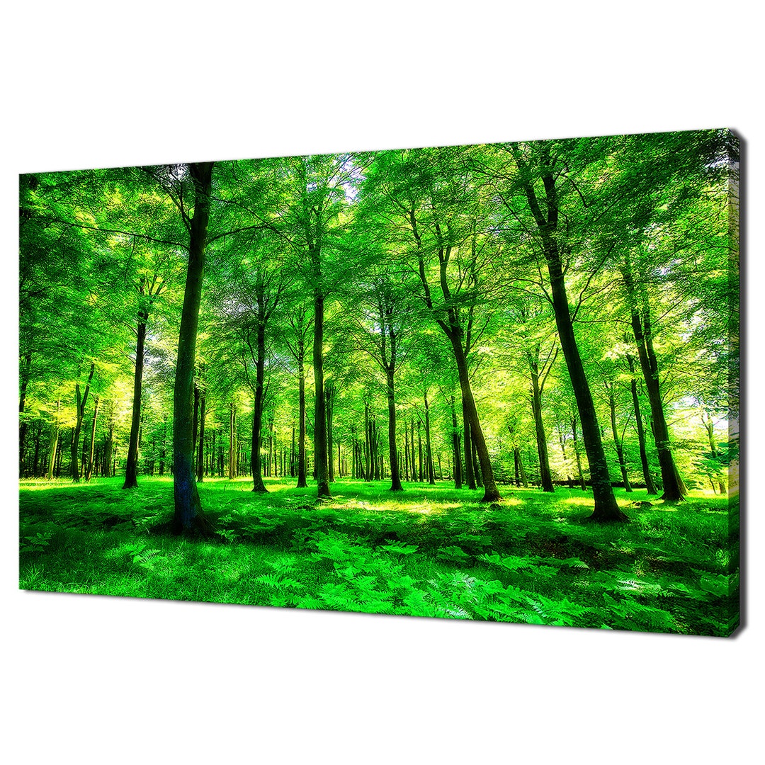 Green Forest Trees Nature Modern Design Home Decor Canvas Print Wall ...