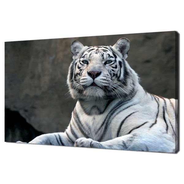 Framed Tiger Print - Etsy
