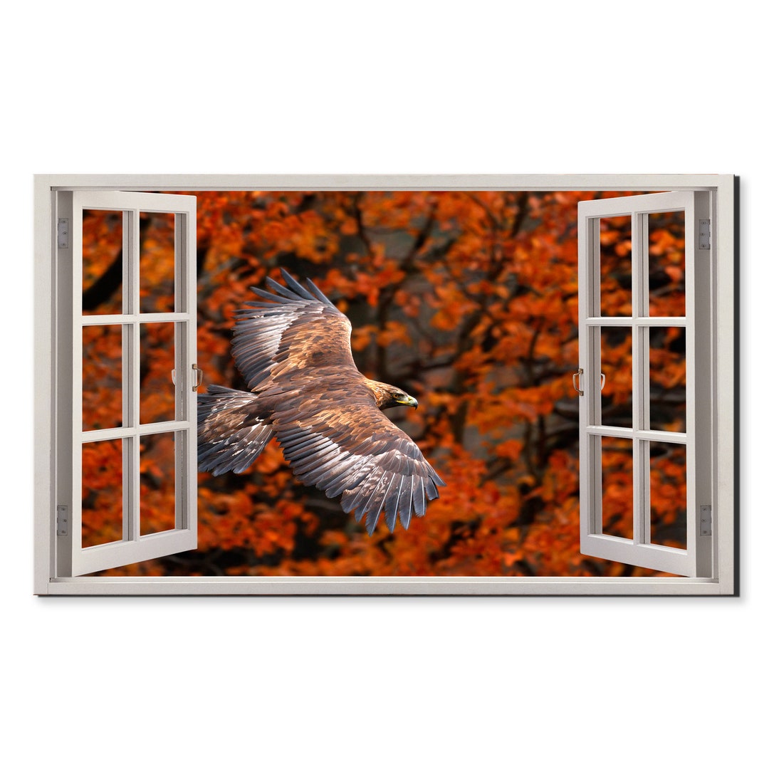 White Tailed Eagle Autumn Window View, Window Frame Style Modern Design ...