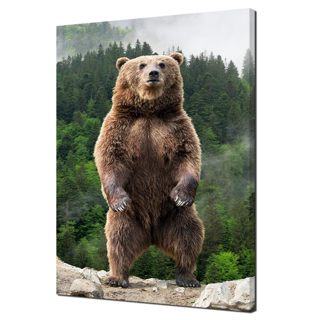 Brown Bear Standing in the Forest Animal Modern Design Canvas Print ...