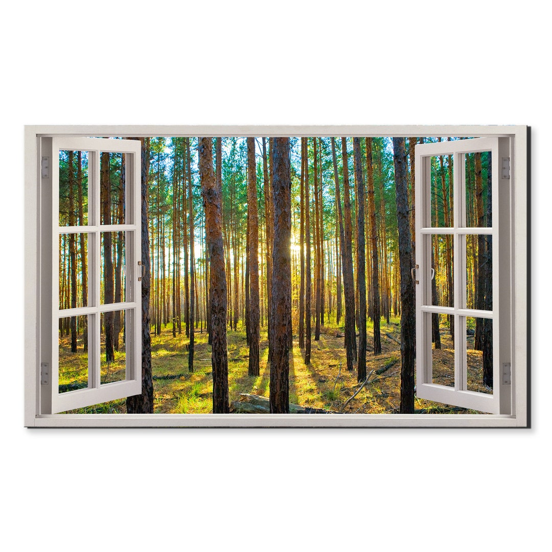 Sunset in Scots Pine Forest Trees Window View, Window Frame Style ...