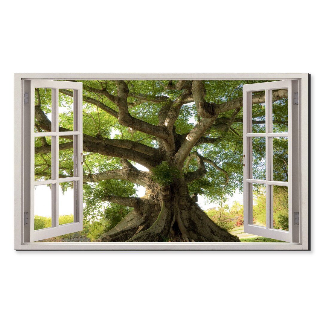 Big Peaceful Silk Cotton Tree Window View, Window Frame Style Modern ...