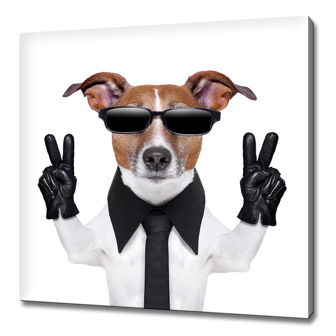 Cool Dog Peace Sign Black Leather Gloves Sunglasses Jack Russell Animal ...