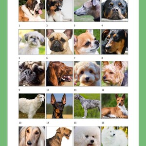 Dog Breeds Picture Quiz - Printable A4 Handout - Fun for Pub Quizzes ...