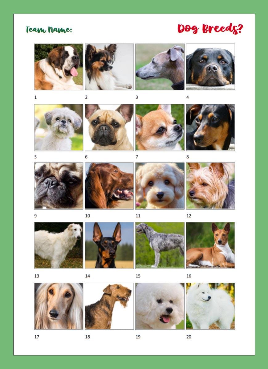Dog Breeds Picture Quiz - Printable A4 Handout - Fun for Pub Quizzes ...