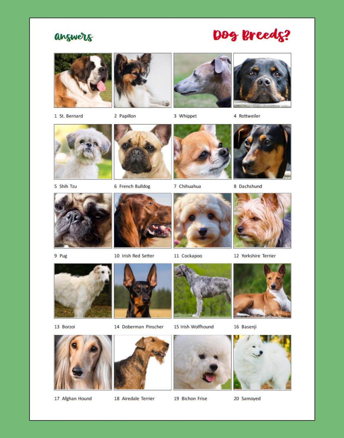 Dog Breeds Picture Quiz - Printable A4 Handout - Fun for Pub Quizzes ...