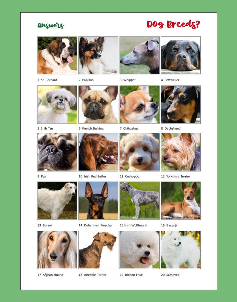 Dog Breeds Picture Quiz Printable A4 Handout Fun for Pub Quizzes ...