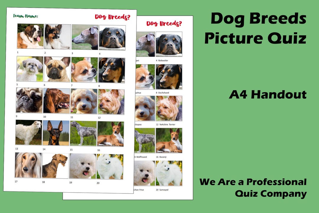 Dog Breeds Picture Quiz - Printable A4 Handout - Fun for Pub Quizzes ...